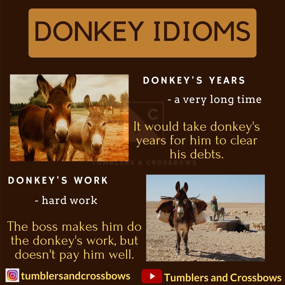 Donkey Idioms – Tumblers and Crossbows